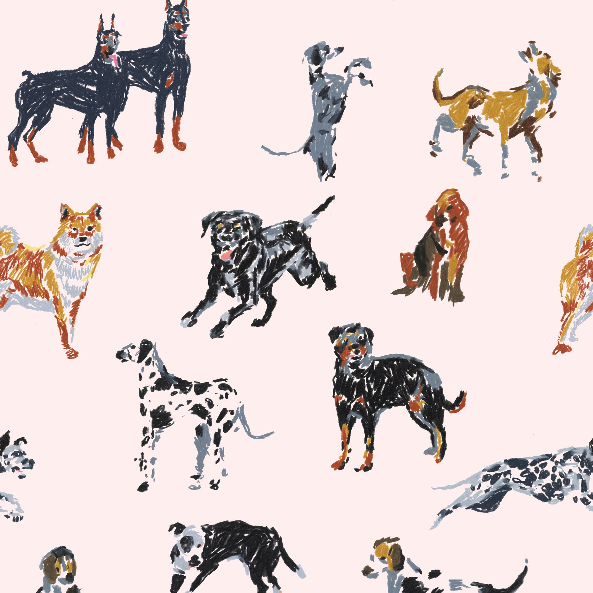 Dog Days - Sunbleached Pink Wallpaper - Mitchell Black