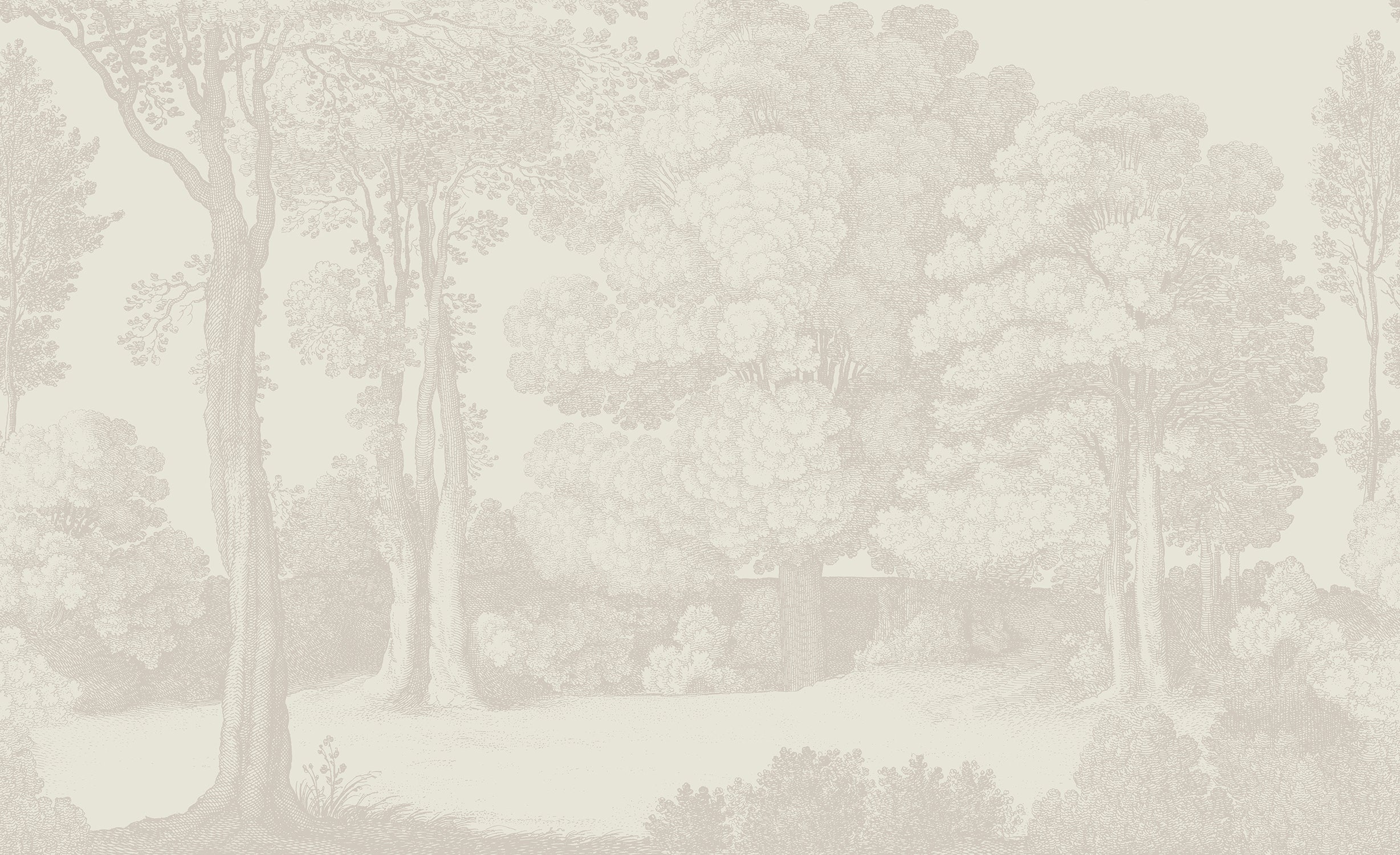 Mineral Spring Wall Mural - Shell Tint - Mitchell Black